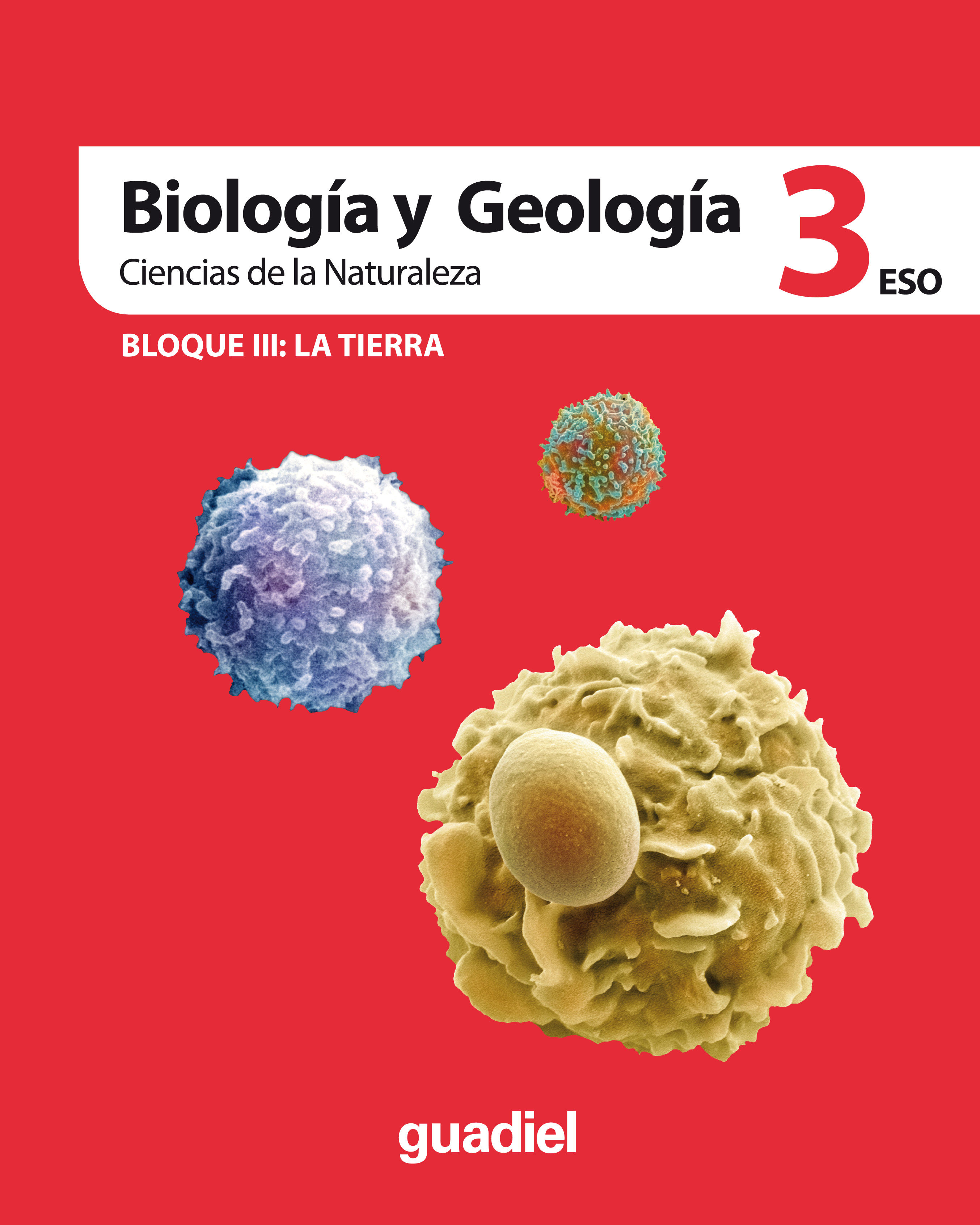 BIOLOGIA Y GEOLOGIA 3º ESO (ANDALUCIA) | VV.AA. | Comprar libro ...