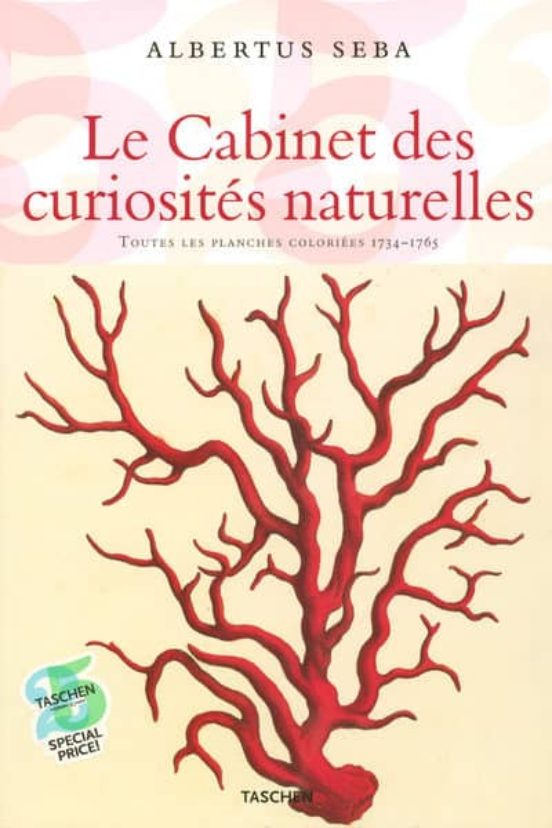 ALBERTUS SEBA: CABINET OF NATURAL CURIOSITIES de VV.AA. | Casa del Libro